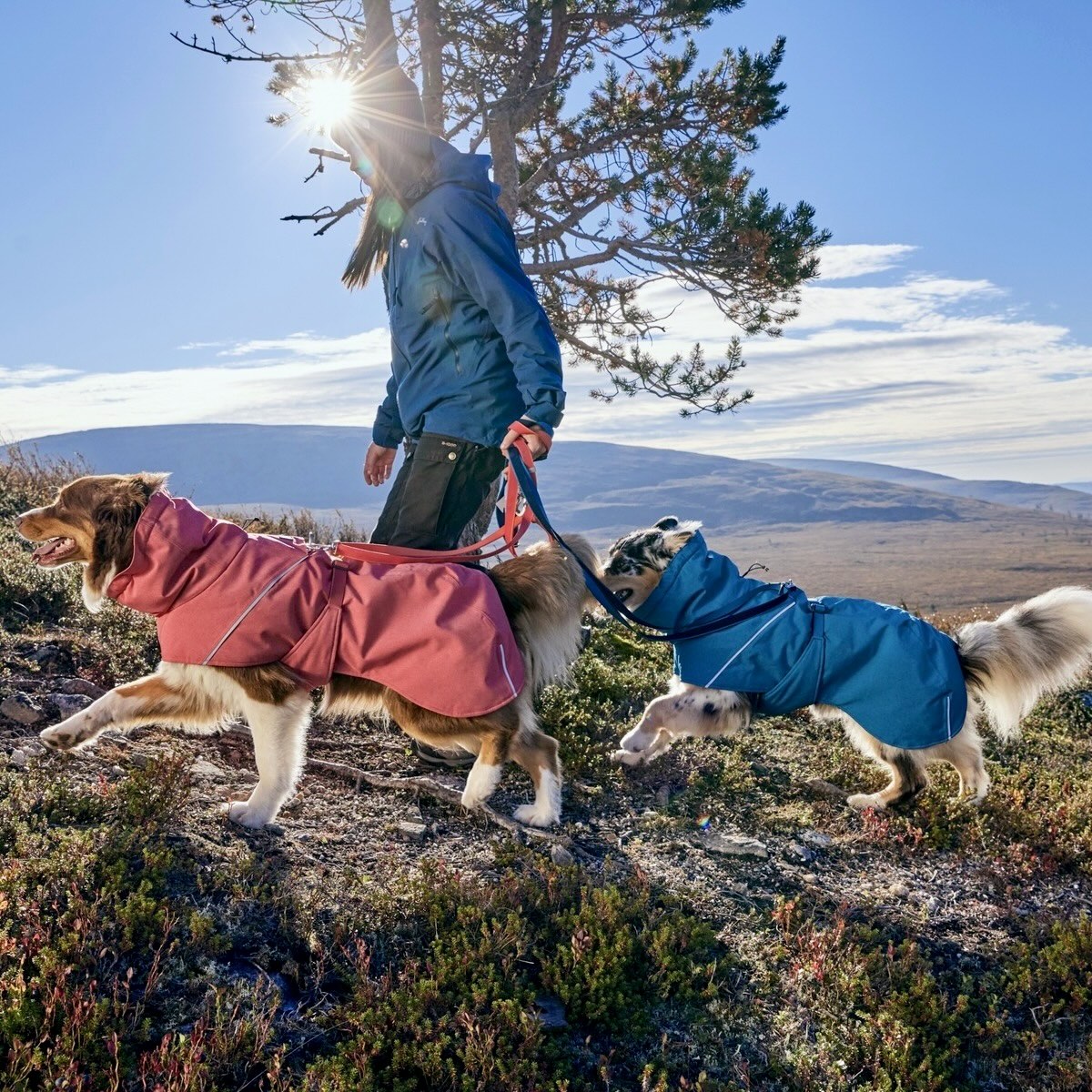 Hurtta Expedition Parka II Ocean | Warmer Hundemantel