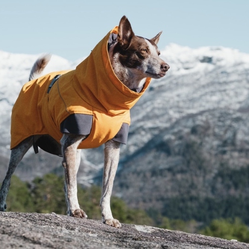 Hurtta Deutschland - offizieller Webshop für Hurtta Hundeartikel