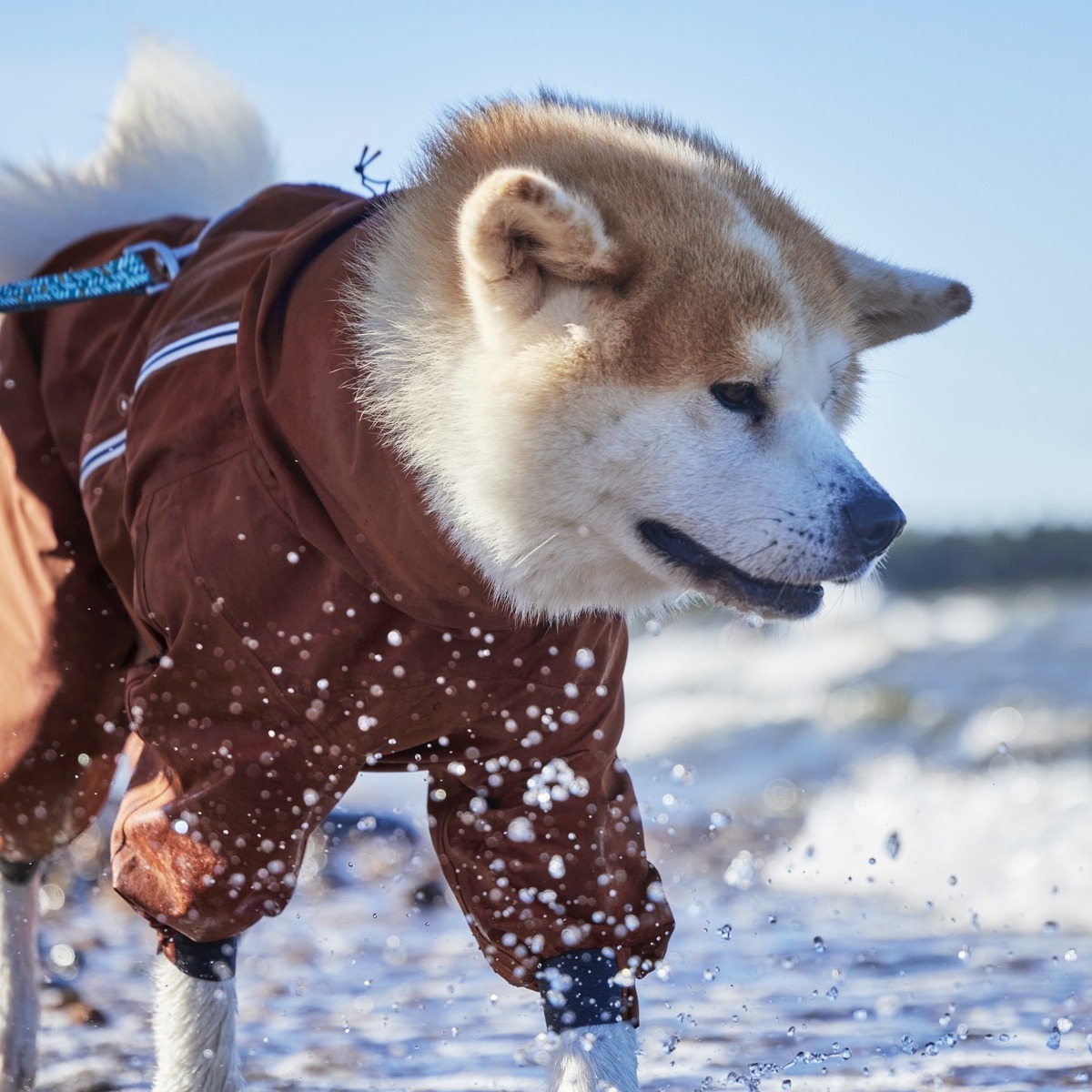 Hurtta Mudventure ECO Regenoverall cinnamon | Nachhaltig & Wasserdicht