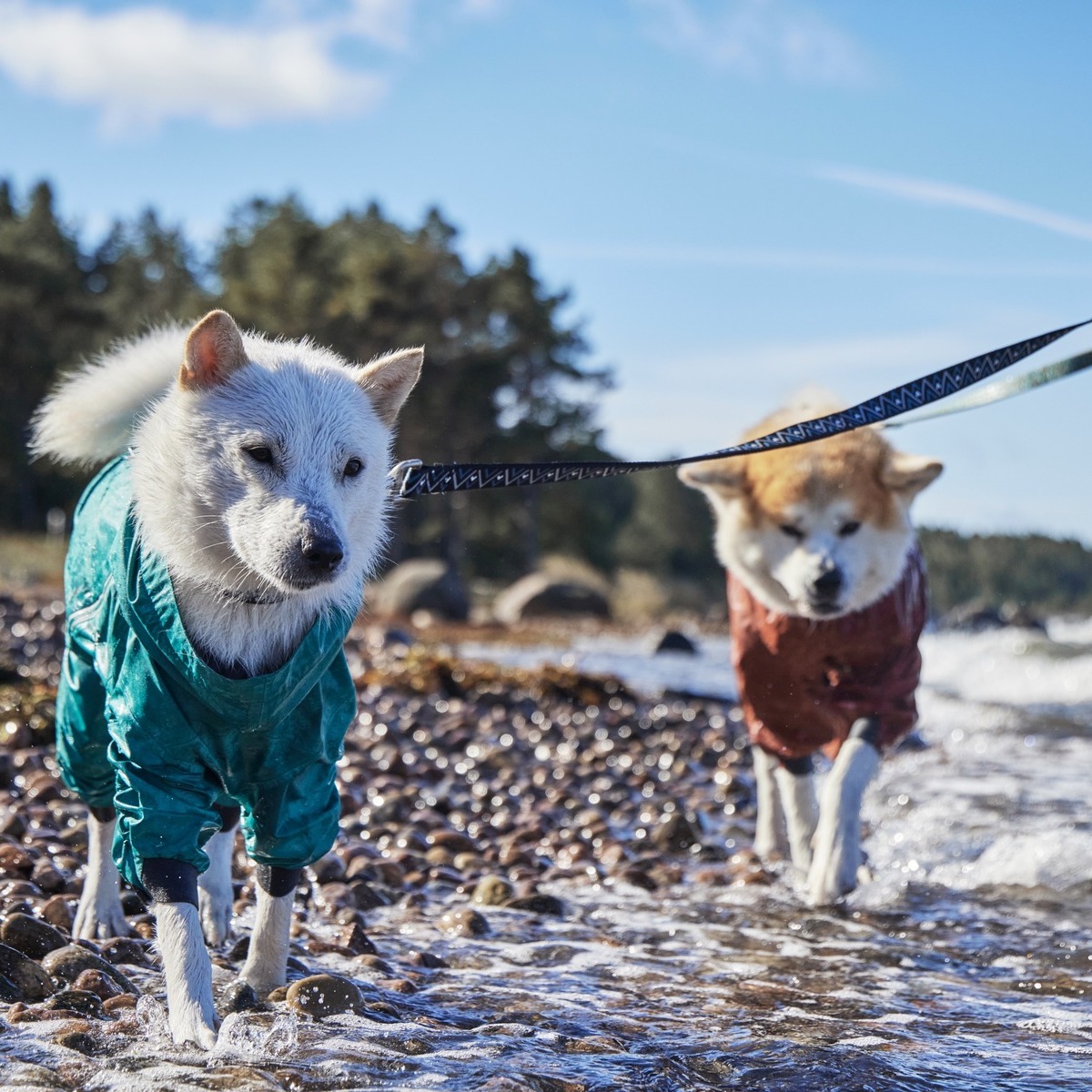 Hurtta Mudventure ECO Regenoverall Hund - Türkis | Wasserdicht
