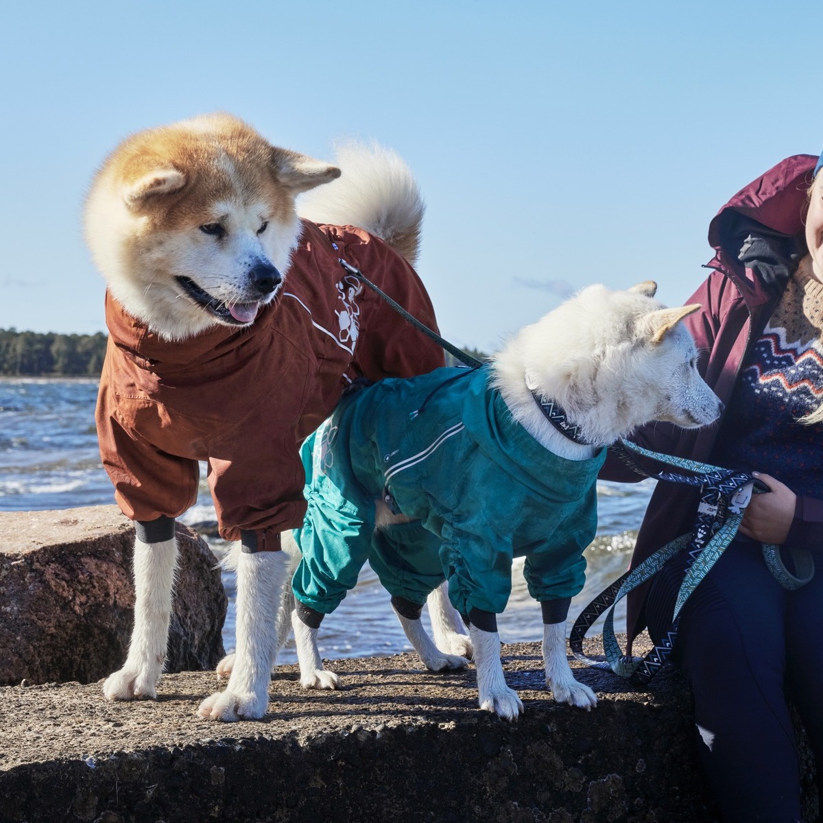Hurtta Mudventure ECO Regenoverall Hund - Türkis | Wasserdicht