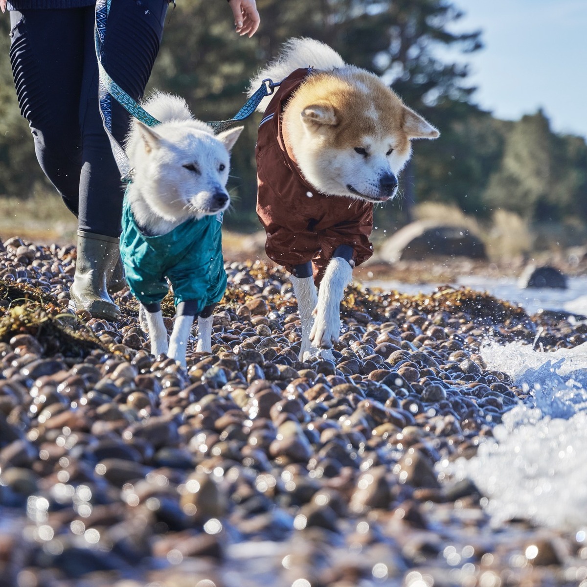 Hurtta Mudventure ECO Regenoverall Hund - Türkis | Wasserdicht