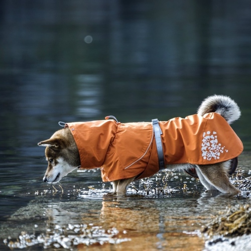 Regenbekleidung, Hundebekleidung - Hurtta - Online Shop