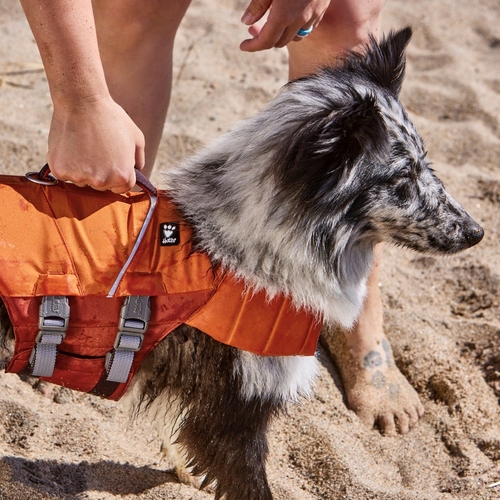 Hurtta Deutschland - offizieller Webshop für Hurtta Hundeartikel